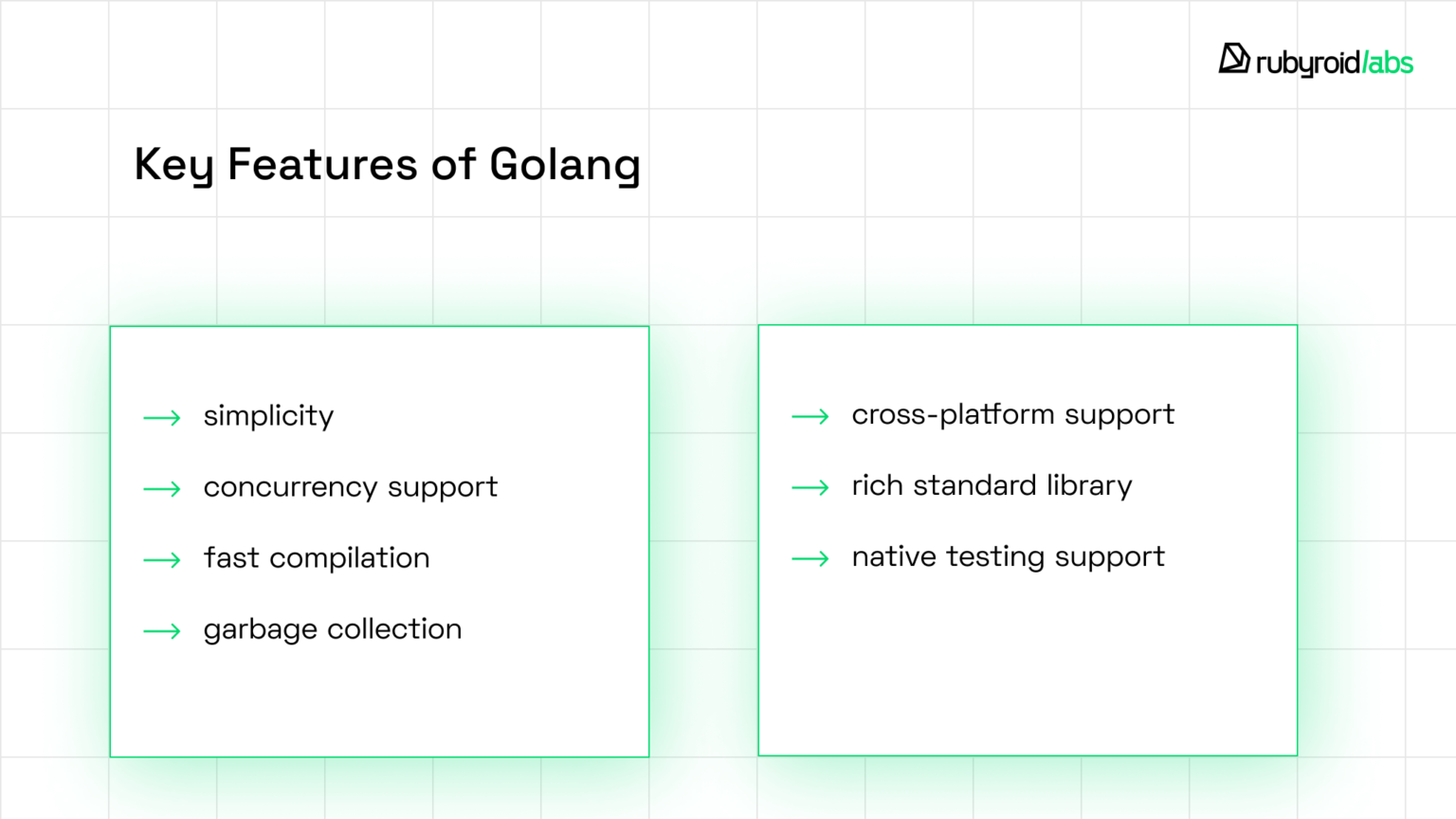 Golang for Web Development: An In-Depth Guide - Rubyroid Labs